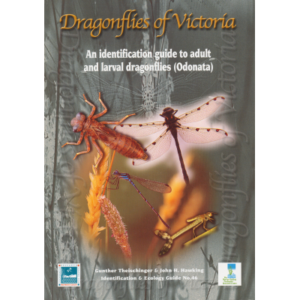 Dragonflies of Victoria: An Identification Guide to Adult and Larval ...